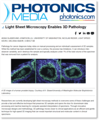 Multi-line lasers for light sheet microscopy - HÜBNER Photonics